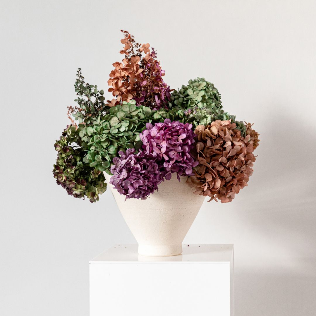 Preserved Hydrangeas – BUNCHED